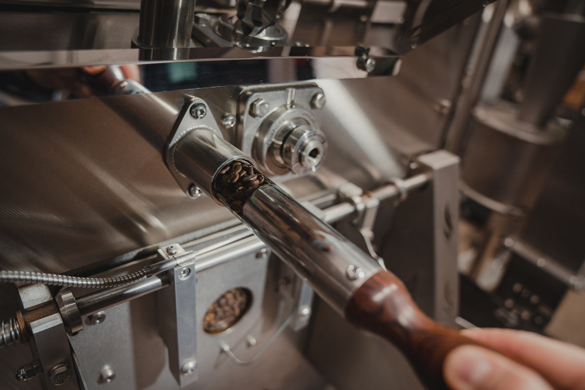 OUR COFFEE – Dog & Gun Coffee